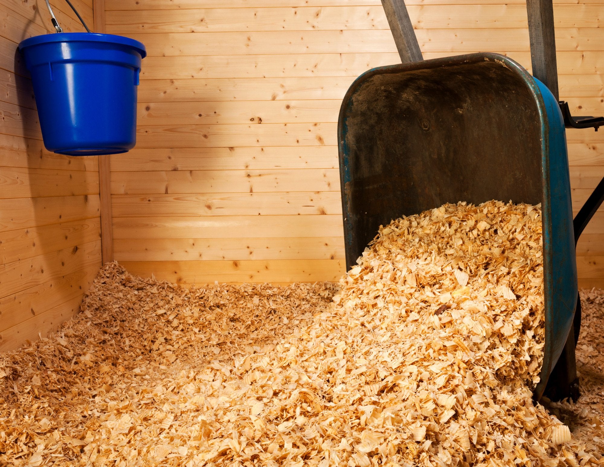 Shavings – Horstmeyer Farm and Garden