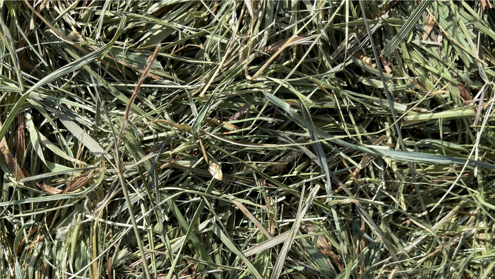 Horstmeyer Farm and Garden