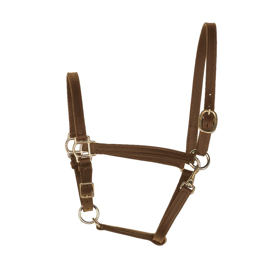Perri's Leather 3/4" Turnout Halter – Horstmeyer Farm and Garden