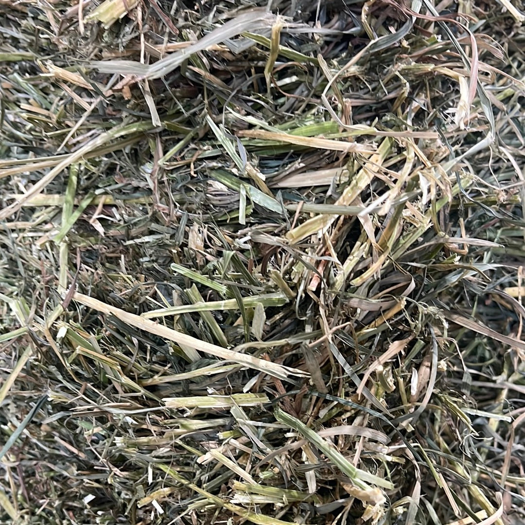 HAY-T/A 2nd Cut – Horstmeyer Farm and Garden