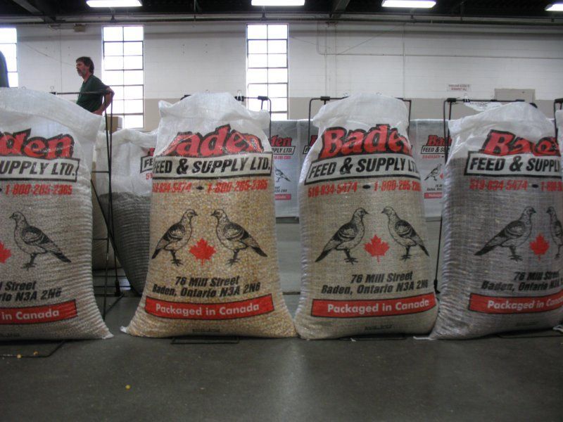 Baden Breeding Mix [#5] – Horstmeyer Farm and Garden