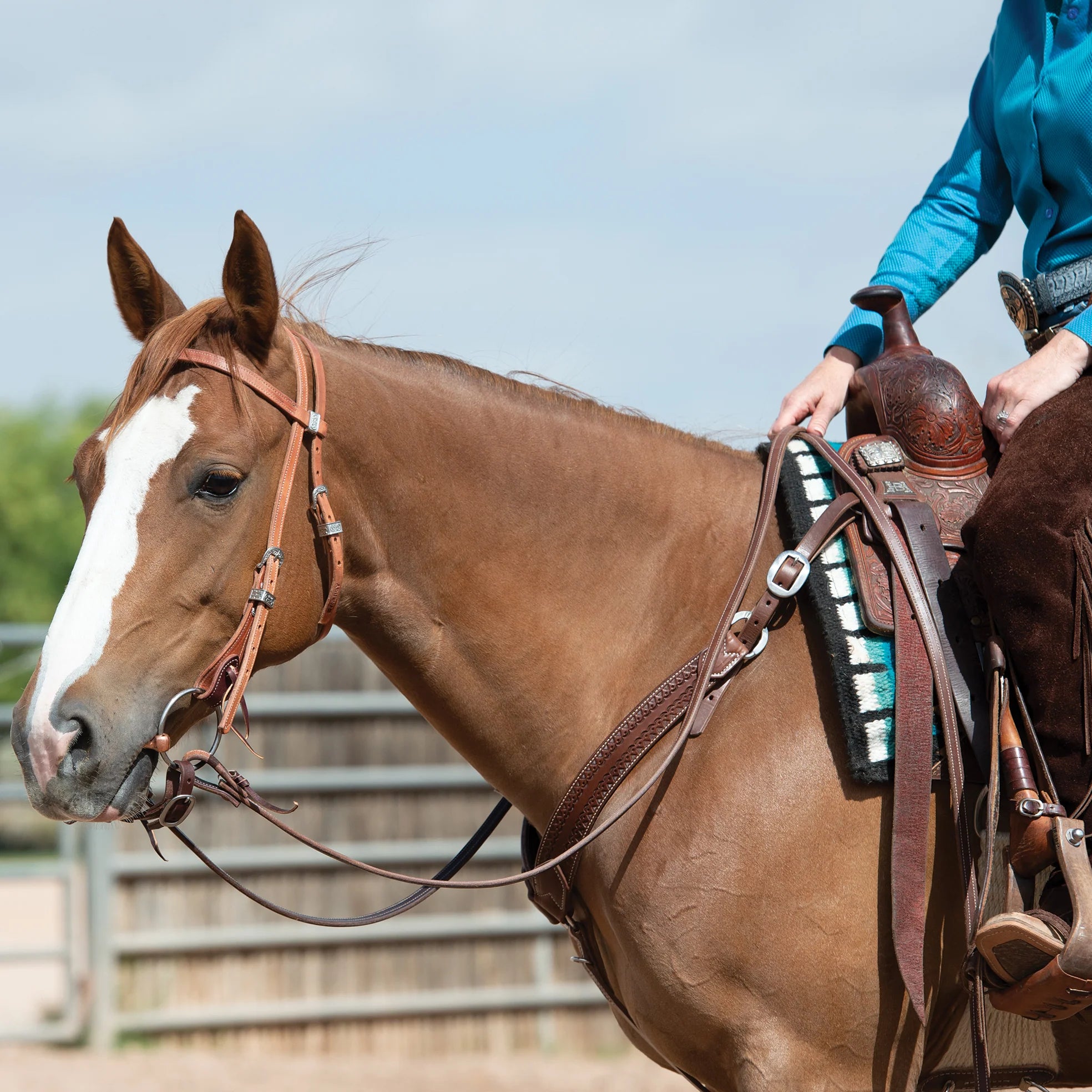Weaver Synergy Latigo Lined Performance Headstall with Floral Design H ...