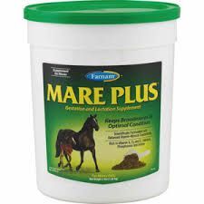 Mare Plus – Horstmeyer Farm and Garden
