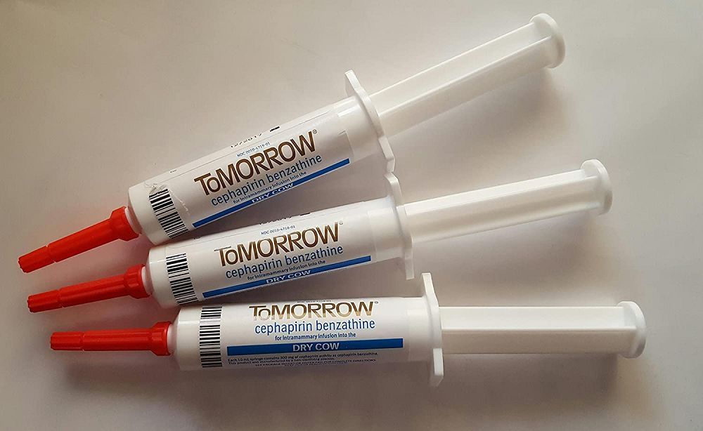 Tomorrow Syringe Single Dose – Horstmeyer Farm and Garden