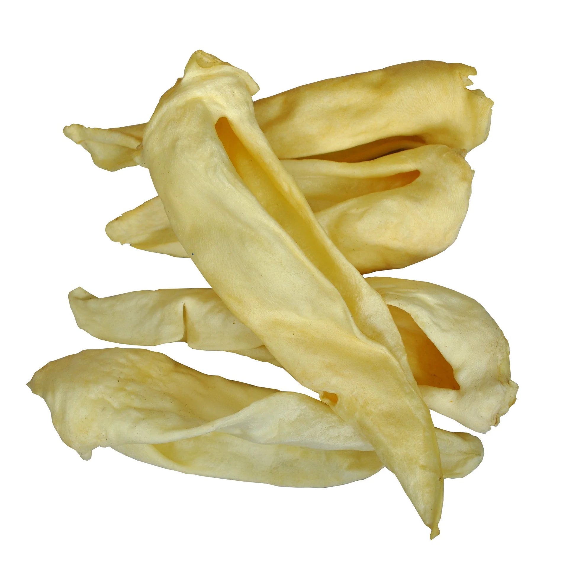 Lamb Ear – Horstmeyer Farm and Garden