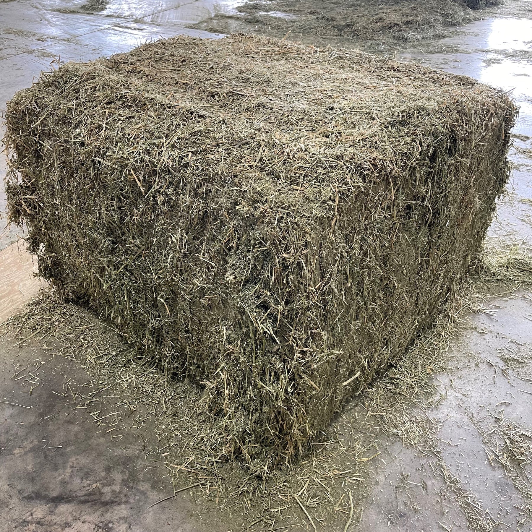 HAY-Alfalfa Pasture Block | 1,190# avg – Horstmeyer Farm and Garden