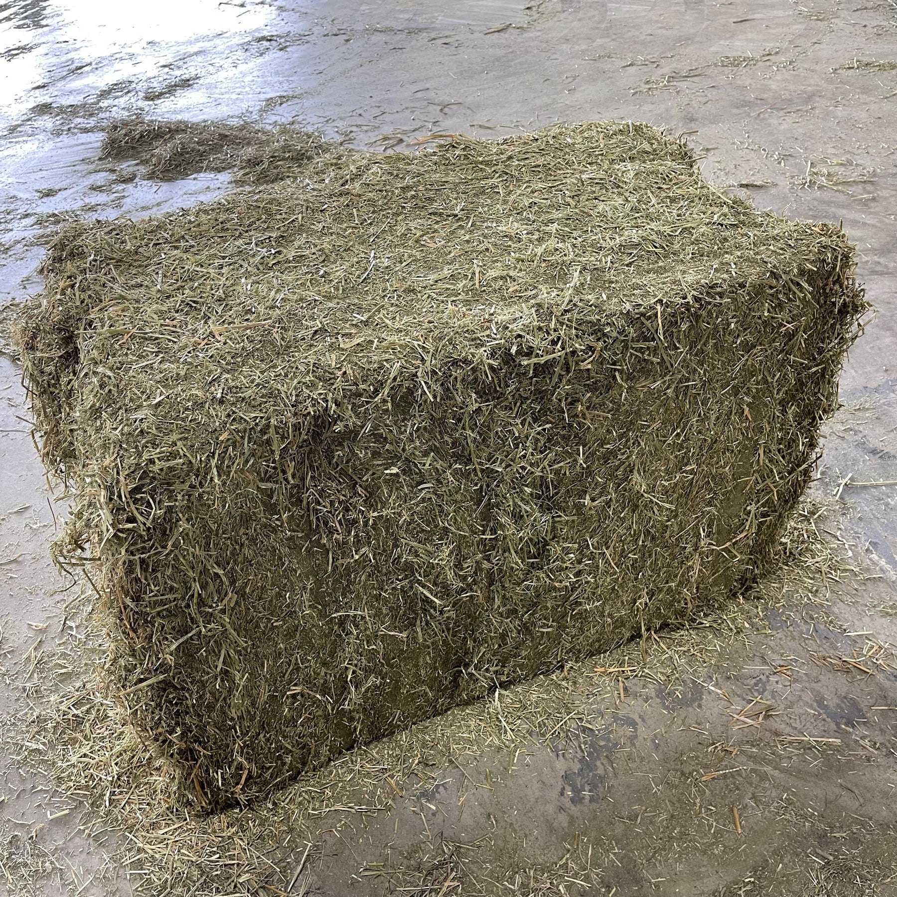 HAY-Alfalfa 1/2 Block | 567# avg – Horstmeyer Farm and Garden