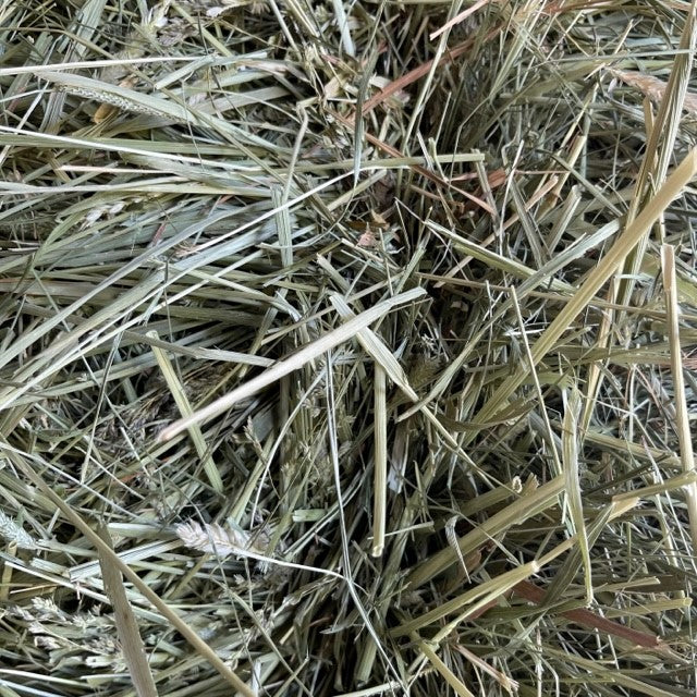 2-String, 3-String & Compressed Bales – Horstmeyer Farm and Garden
