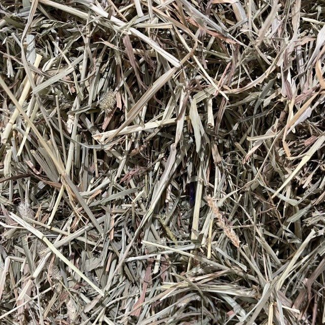 2-String, 3-String & Compressed Bales – Horstmeyer Farm and Garden